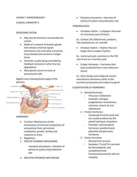 Endocrinology Lecture Notes Hormones And Feedback
