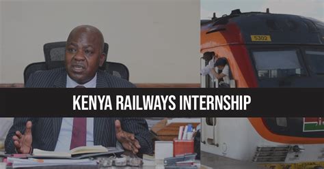 Undp Internship November 2024 Requirements Online Application
