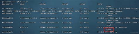 001、将docker的mysql数据库导出为sql文件docker Mysql 导出sql文件 Csdn博客