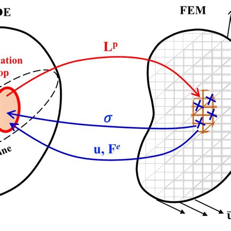 Schematic Showing The Basic Framework Of Dcm L P Is The Plastic Download Scientific Diagram
