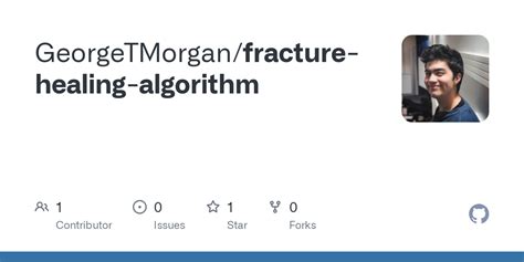 Github Georgetmorgan Fracture Healing Algorithm