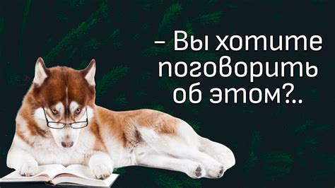 О самооценке собак несамостоятельности про доминирование и