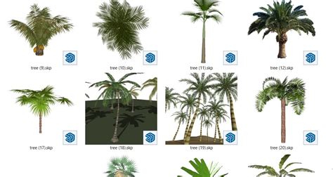 003 Free Sketchup Trees Model Download