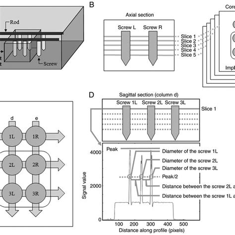 Measurement Of The Screw Diameter And The Distance Between The Screws