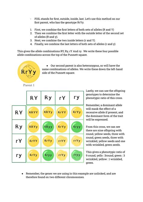 Genetic Variation Level 2 Biology Biology Level 2 Ncea Thinkswap