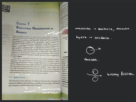 65 The Enthalpy Of Combustion Of Methane Graphite And Dihydrogen At 298