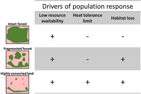 Potential Drivers Of Tropical Bird Population Response To The