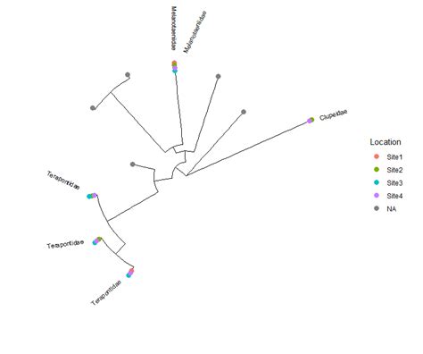 Geom Tippoint Increasing Space Between Points Issue YuLab SMU Ggtree GitHub