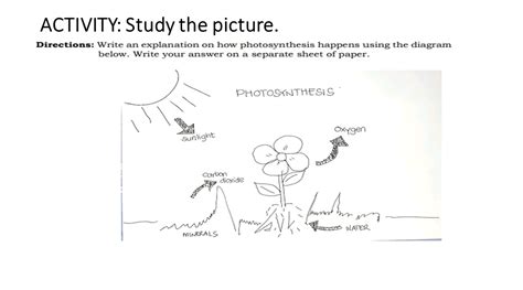 Activity Study The Picture Directions Write Studyx