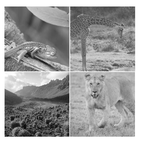 Learning Based Compressive Subsampling Ilija Bogunovic