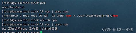 Linux系统中软链接和硬链接用法详解 Csdn博客