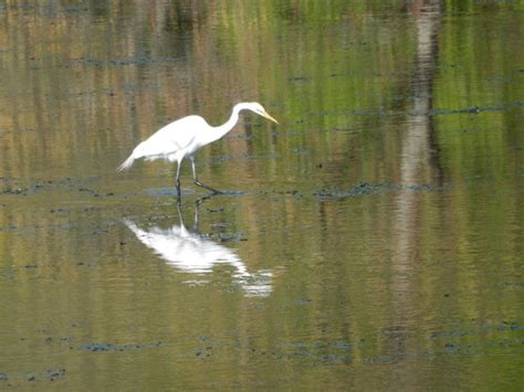 Saharsh Jain Posted On Linkedin