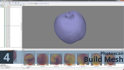 Photoscan Build Mesh 3dcollective