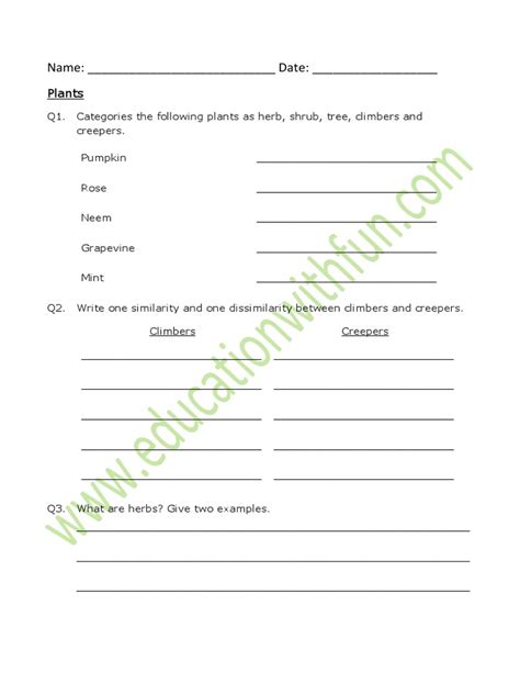 Classifying Plants A Worksheet On Herbs Shrubs Trees Climbers And Creepers Pdf