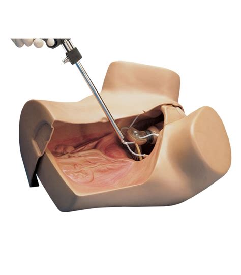 Manikin Zoe® Gynecological Simulator Mmffr