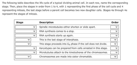 Solved The Following Table Describes The Life Cycle Of A Course Hero