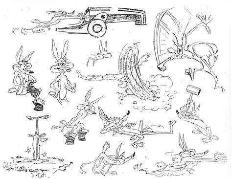 Model Sheet For Road Runner Looney Tunes Looney Looney Tunes Cartoons