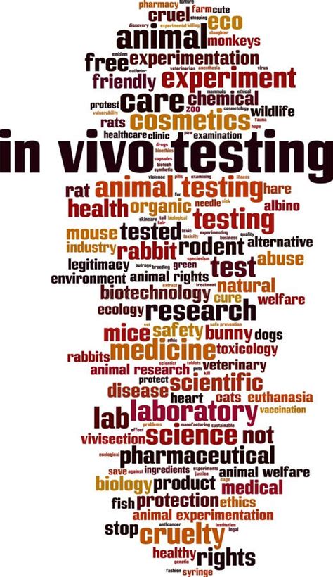 In Vivo Testing Word Cloud Stock Vector Illustration Of Cure 289422303