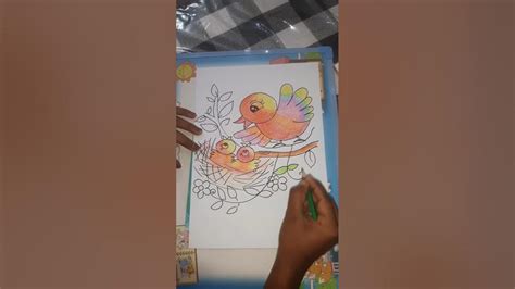 How To Draw Bird Nest Step By Step පාට පැන්සලින් කුරුලු කුඩුවක් ඉක්මනින් අදිමු Birds Drawing