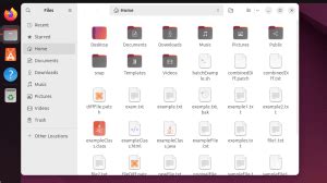 How To Create A Folder In Ubuntu 24 04 Greenwebpage Community