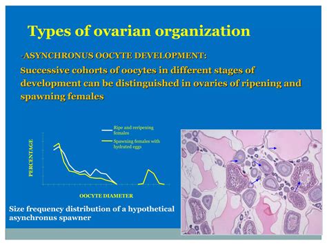 Kinerja Hormon Reproduksi Ikan Pada Matakuliah Endokrinologi Ikan Pptx