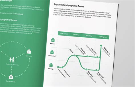 Swimlane Flow Chart Data Viz Project