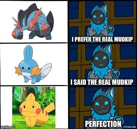 The Real Mudkip Template Rprotogen