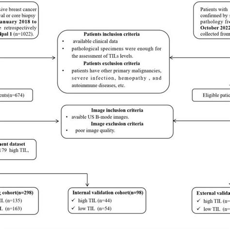 Schematic Diagram Of The Dl Models Us Ultrasound Til Download