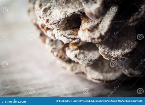 Pine Tree Cone Detailed Photography Stock Image Image Of Object
