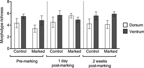 Morphotype Richness Of Bacteria Isolated From The Dorsal And Ventral Download Scientific