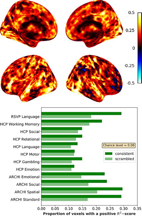 Within‐subject Accuracy Prediction Of Contrast Maps Top Accuracy