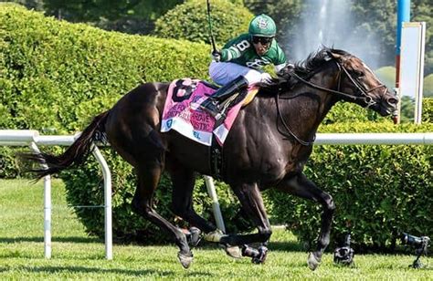 Prospect Watch Deterministic Test Score Siblings Debut On Turf