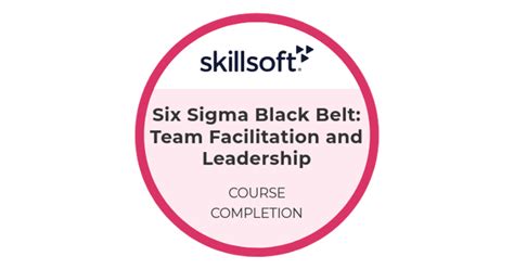 Will Distler On Linkedin Six Sigma Black Belt Team Facilitation And