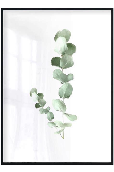 Постеры на стену ботаника, постеры растения и цветы, botanical art ...