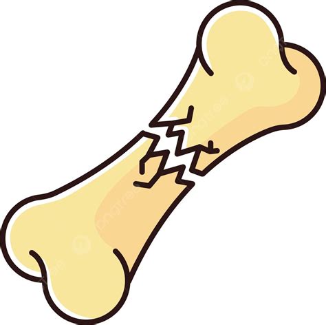 Medical Icon Broken Bone Trauma Treatment Isolated Bone Line Vector