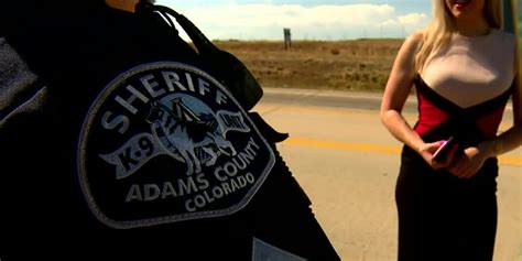 Man Impersonating Officer Pulls Over Deputy