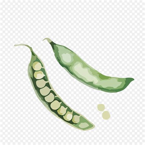 Png Png
