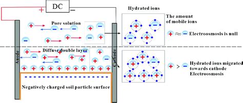 Electroosmosis Mechanism Of Ion Hydration DC Direct Current Power Download Scientific