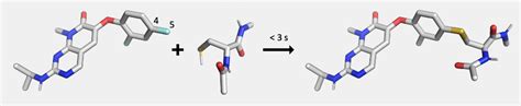 CGenFF For Covalent Ligands SilcsBio User Guide