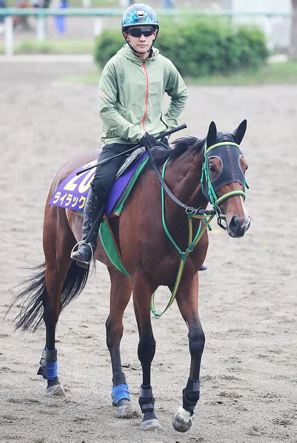 【宝塚記念】巻き返し狙うライラックは落ち着き十分 陣営「雨が降った方がよりいい」 ライブドアニュース