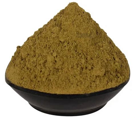 Cassia Angustifolia Powder At ₹ 450kg Indore Nagar Indore Id 2853285528862