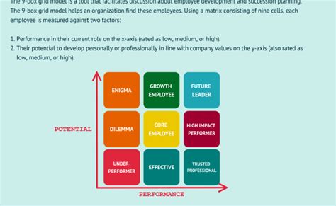 9 Box Succession Planning Template Rainy Weathers