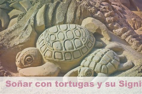 So Ar Con Tortugas Y Su Significado So Ar Con