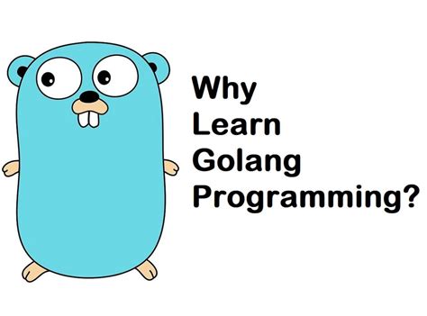 is golang worth learning in 2024 why should you learn go programming
