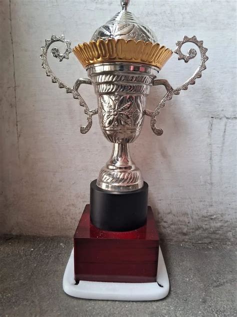 College Plain Trophy Cup At Rs 600piece Trophy Cup In Moradabad Id
