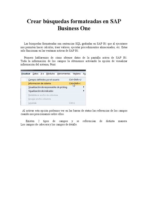 Crear Busquedas Formateadas En Sap Busin Descargar Gratis Pdf Sql