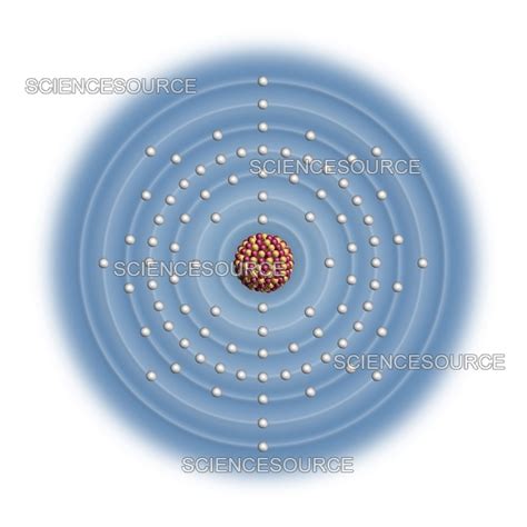 Radium Atomic Structure Stock Image Science Source Images