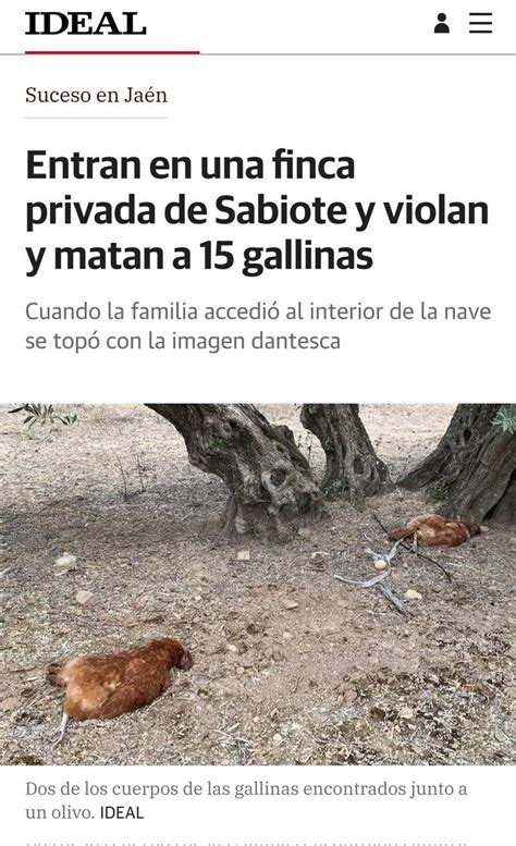 Boniatobill on Twitter Cuando ya te creías que nada te podría sorprender te encuentras