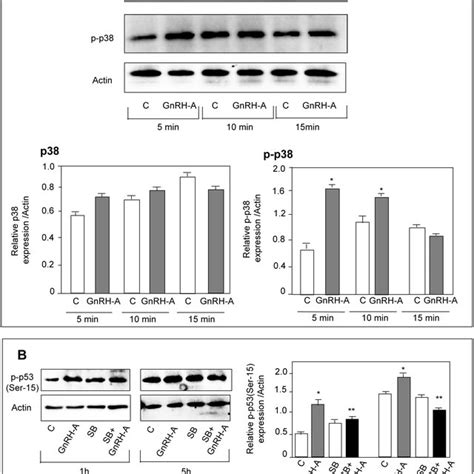 Affymetrix Human Genome U133 Plus Array Download Table