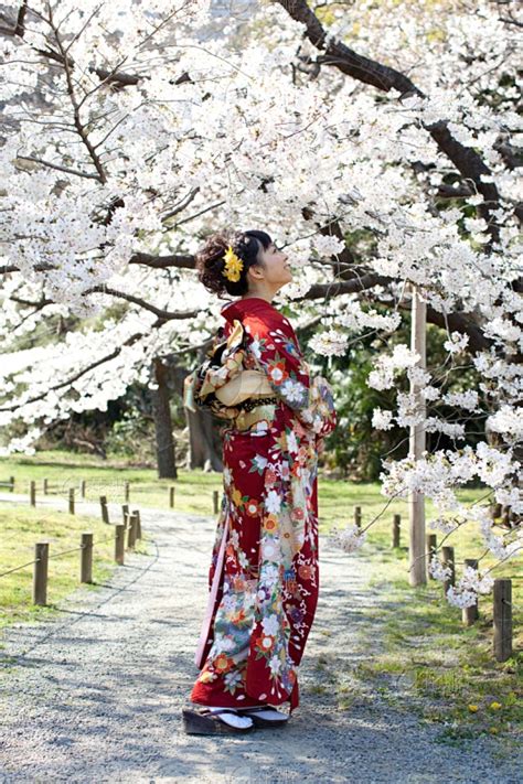 和服 樱花 日本人 女人 衣服 星和园 垂直画幅 优美 美人 户外素材 花瓣网